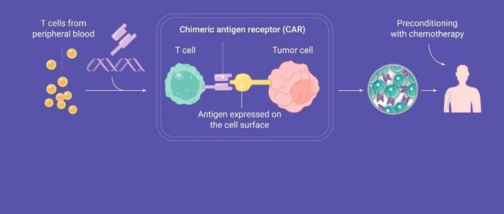 Science & Nature 双开花：改善过继性免疫细胞疗法的新手段 - MedChemExpress - 知乎