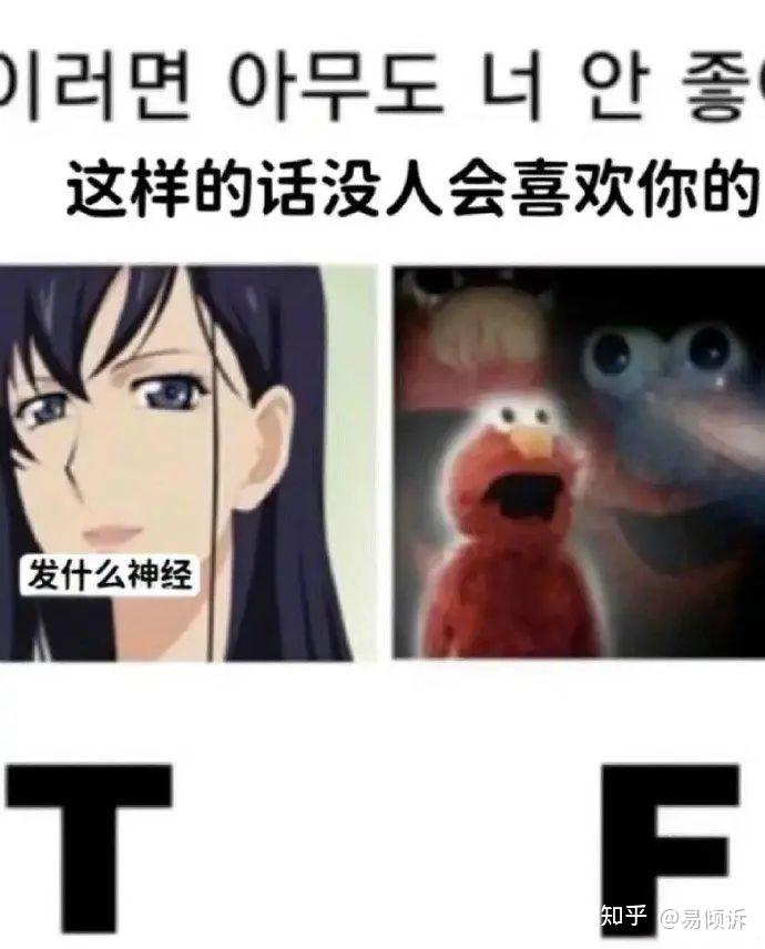 MBTI测试：T人与F人的区别 - 知乎