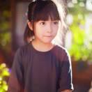 AssertionError: Torch not compiled with CUDA enabled解决办法 - 知乎