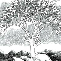 Android高版本使用overlayfs修改只读文件系统 - 知乎