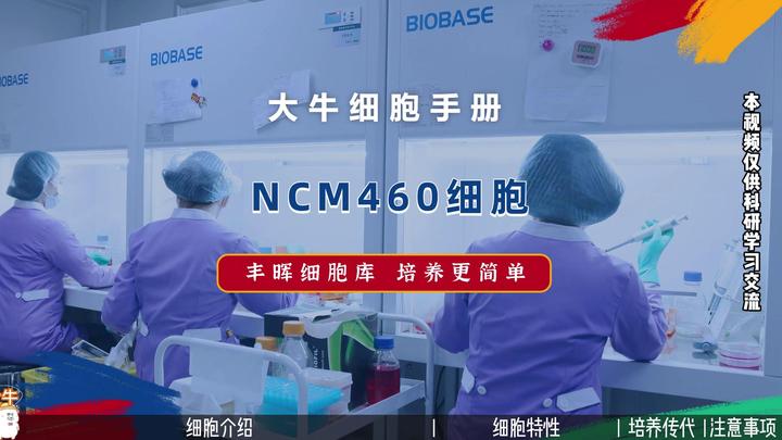 NCM460细胞培养，人正常肠上皮细胞培养攻略 - 丰晖生物 - 知乎