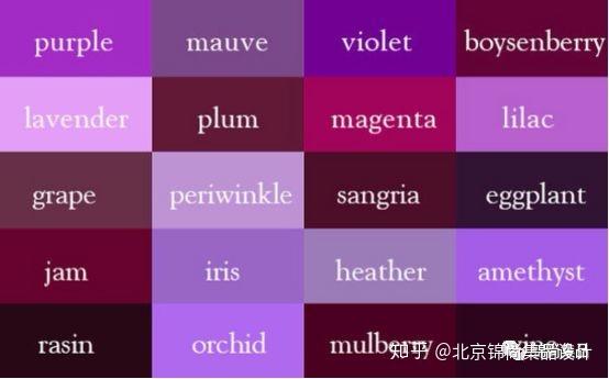 紫色天堂，回归温暖与华丽！ - 知乎