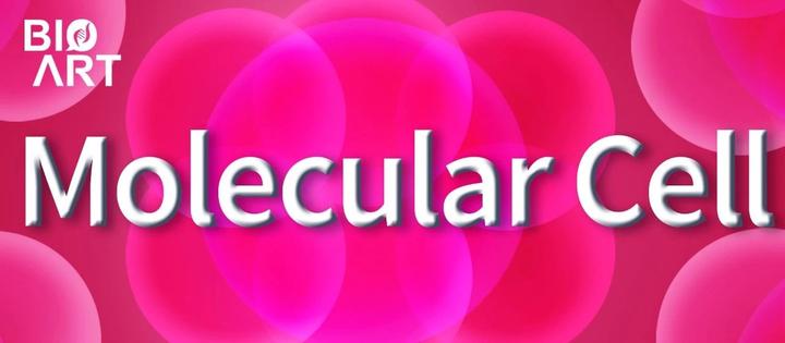 Mol Cell | 人源V-ATPase高分辨率结构 - 知乎