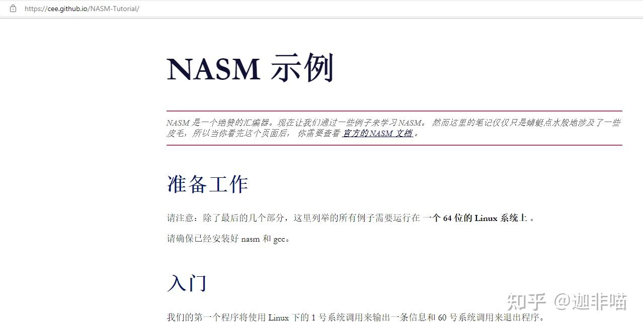NASM Tutorial - 知乎
