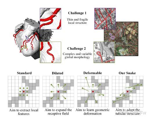 (即插即用模块-Convolution部分) 三、(ICCV 2023) DSConv 动态蛇形卷积 - 知乎