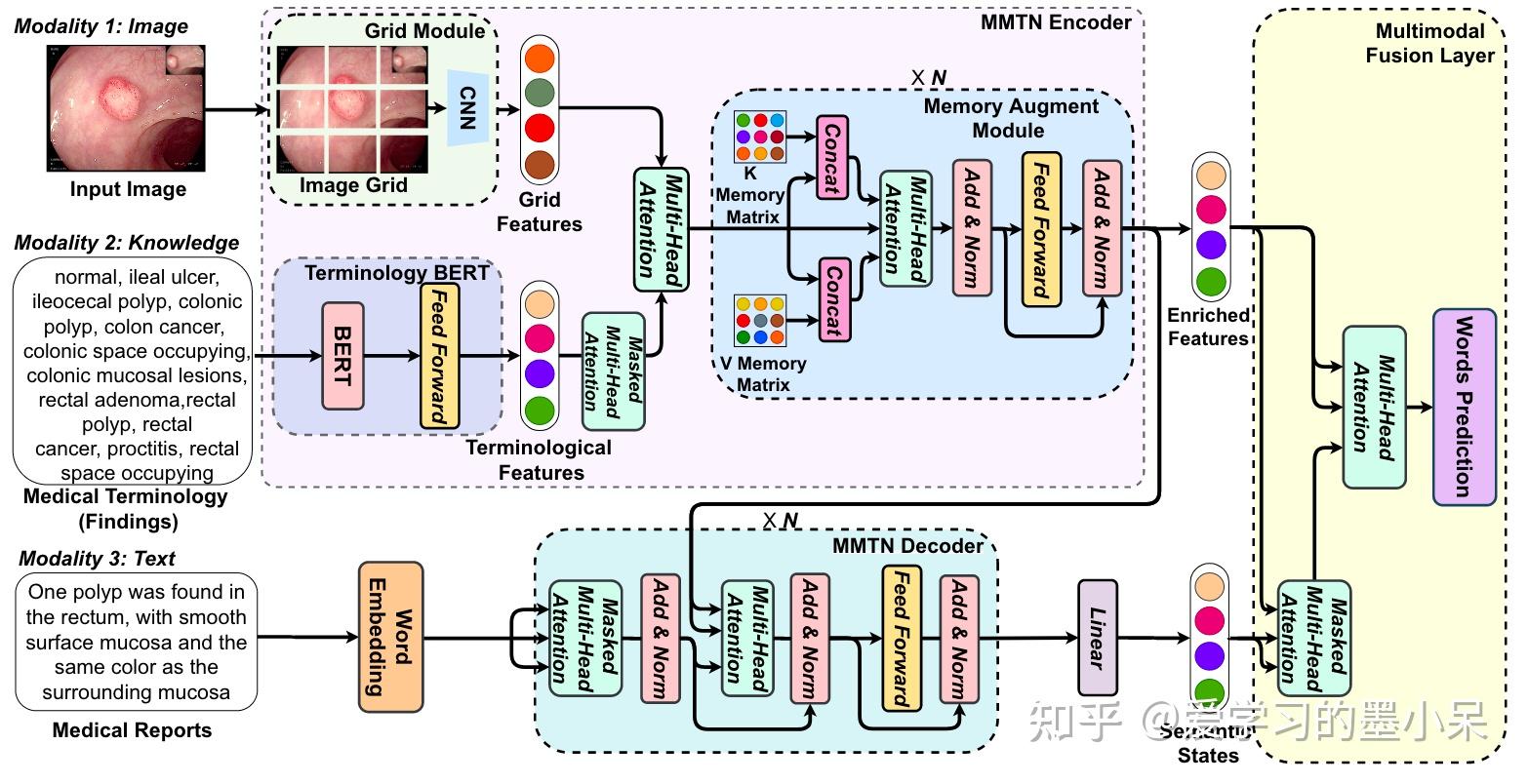 在医学图像领域，多模态融合(Multimodal Fusion)的研究实例有哪些？ - 知乎