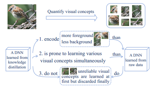 Paper Paper - One：Explaining Knowledge Distillation by Quantifying the Knowledge - 知乎