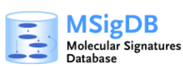 MSigDB与基因富集 - 知乎