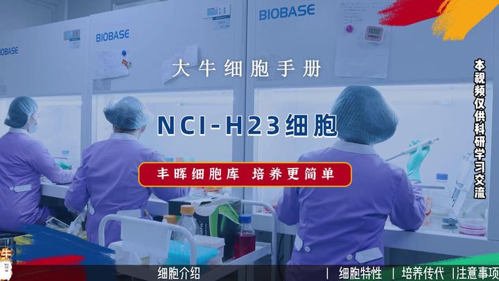 NCI-H23细胞培养，人非小细胞肺癌细胞培养攻略 - 丰晖生物 - 知乎