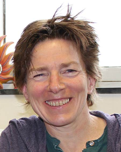 双碳背景下，能源顶刊《Energy & Environmental Science》能否比肩Nature energy？ - 知乎