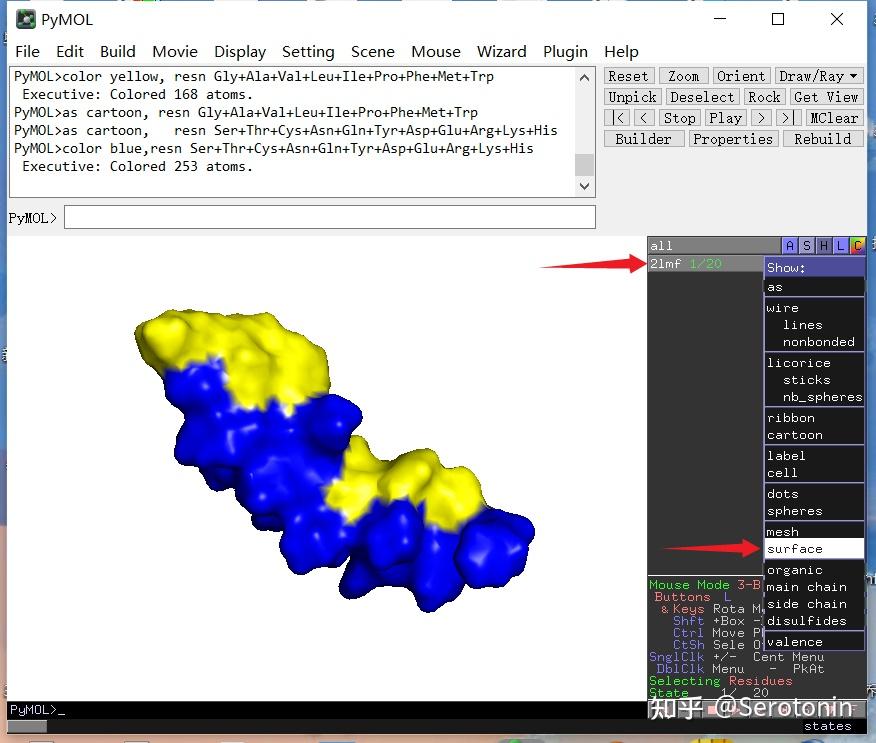 PyMOL小白自留教程4——蛋白质结构的可视化2（静电势能和亲疏水性展示） - 知乎