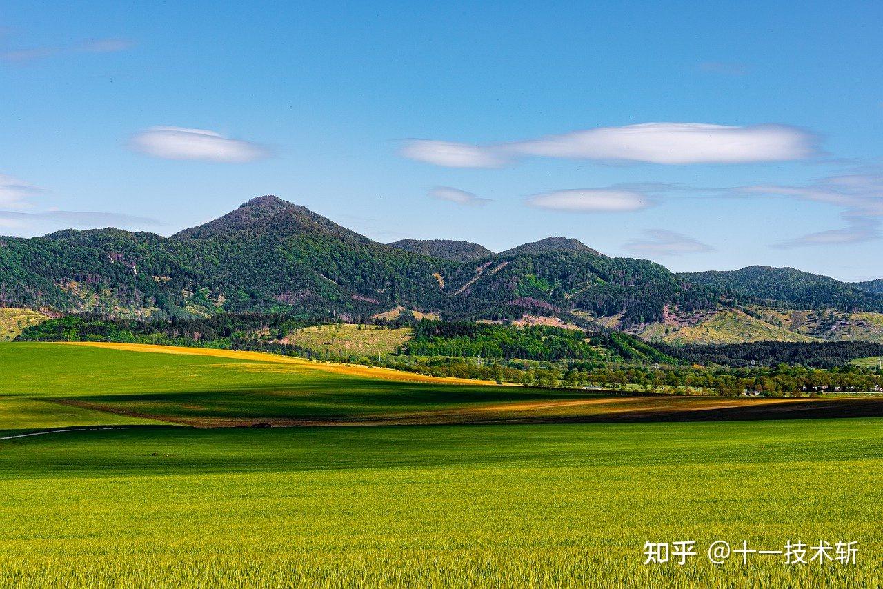 【Redis技术干货】带你彻底认识「内存碎片过高优化」功能和原理 - 知乎