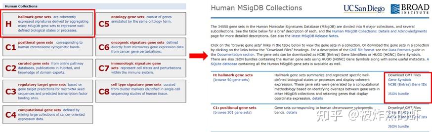 从MSigDB查找感兴趣的基因集 - 知乎
