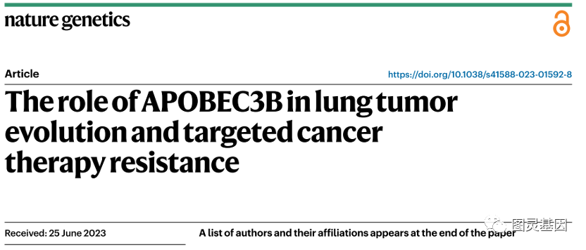 Nat Gen ｜ 美国立卫生研究院创新者奖得主：APOBEC3B在肺癌进化和靶向癌症治疗耐药性中的作用 - 知乎