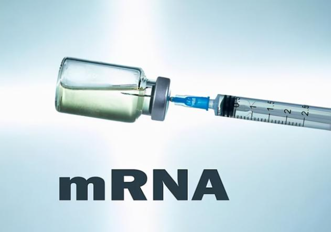 AI赋能加速mRNA疫苗和药物研发 - 知乎