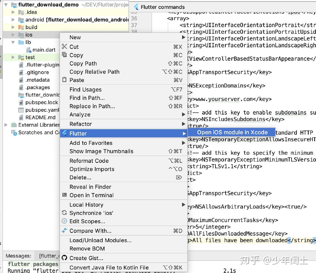 利用flutter_downloader插件在Flutter中实现文件下载 - 知乎