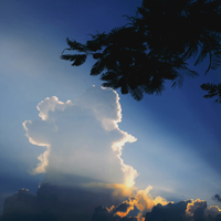 关于Jupyter lab登陆报错invalid credentials - 知乎