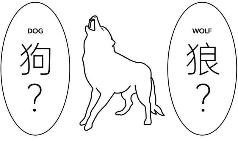 图形设计：带你掌握图形创意方法 - 知乎