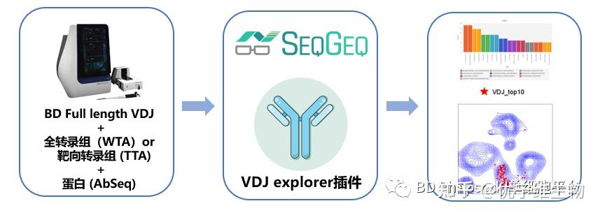 SeqGeq系列之：如何分析单细胞免疫组库VDJ数据？ - 知乎