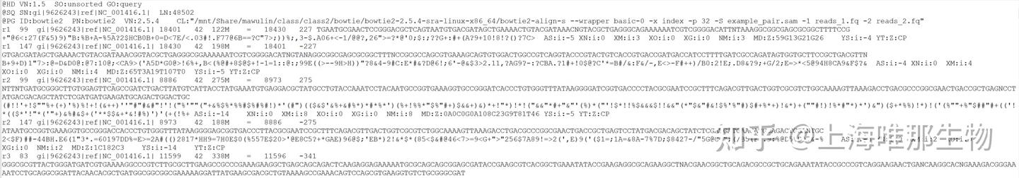 Reads比对工具Bowtie2软件的使用 - 知乎