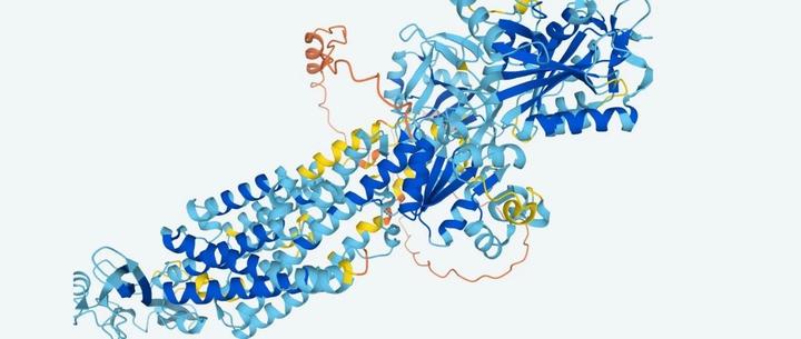 Nat Methods｜AlphaFold预测是有价值的假设，可以加速但不能取代实验结构测定 - 知乎