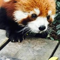 JPEG-LS Baseline介绍 - 知乎