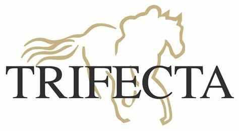 Trifecta: Faster High-Throughput Three-Party Computation over WAN Using ...