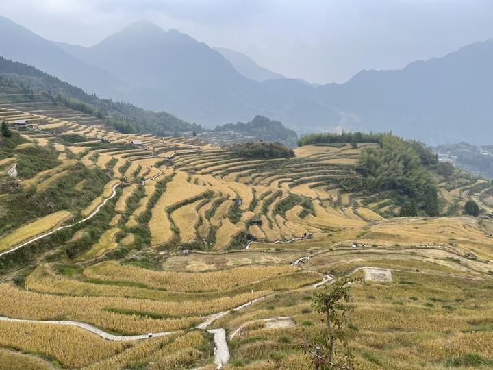 PolarDB MySQL Fast Query Cache技术详解与最佳实践 - 知乎