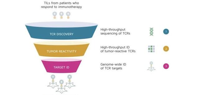 ‌TScan：一种全基因组、高通量的T细胞受体筛选技术 - 知乎