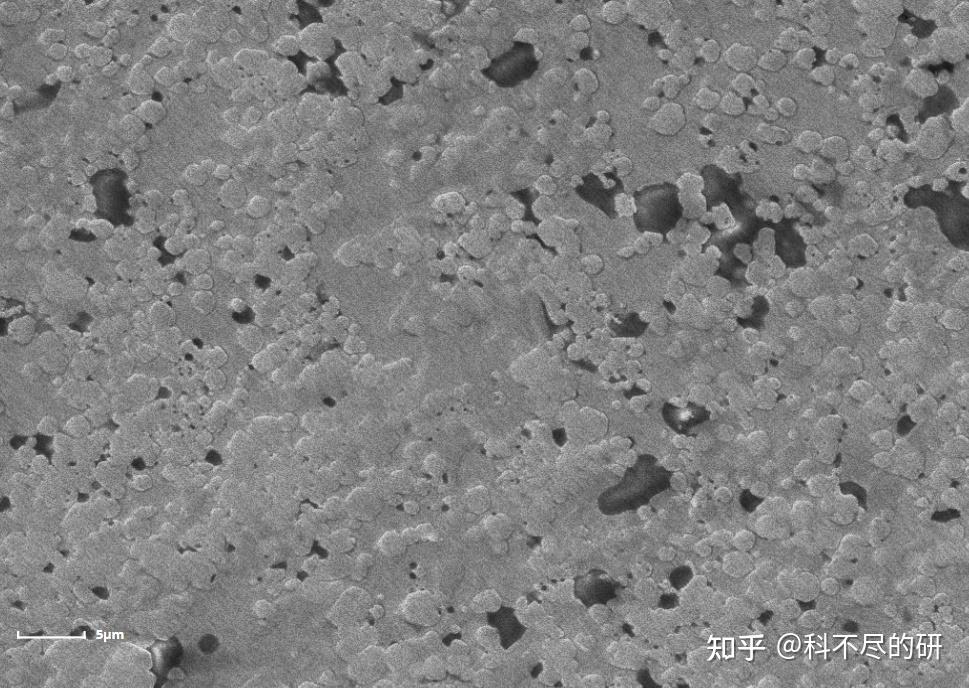 如何用扫描电镜（SEM）拍摄DNA样品？ - 知乎