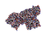 如何用Pymol做出那些美呆的结构图（晋级篇） - 知乎