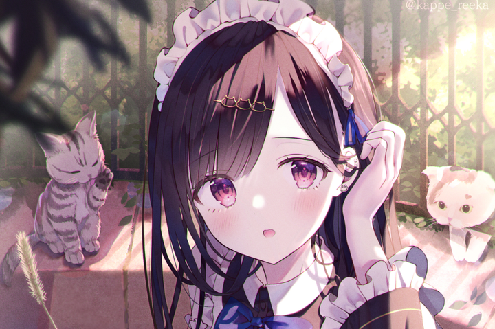 DG：一维Euler方程中三种Flux的测试 - 知乎