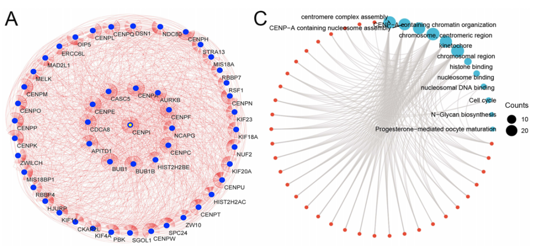 关于 TCGA 和 GTEx 联合分析单基因的泛癌表达是怎样的？ - 知乎
