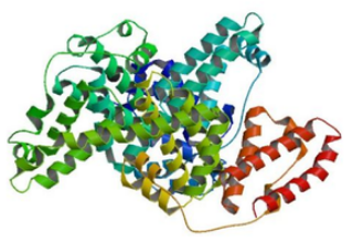 Alexa Fluor 647标记牛血清白蛋白,BSA/AF647,BSA，Alexa Fluor 647 labeled - 知乎