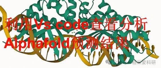 利用Vs code查看分析Alphafold预测结果 - 知乎