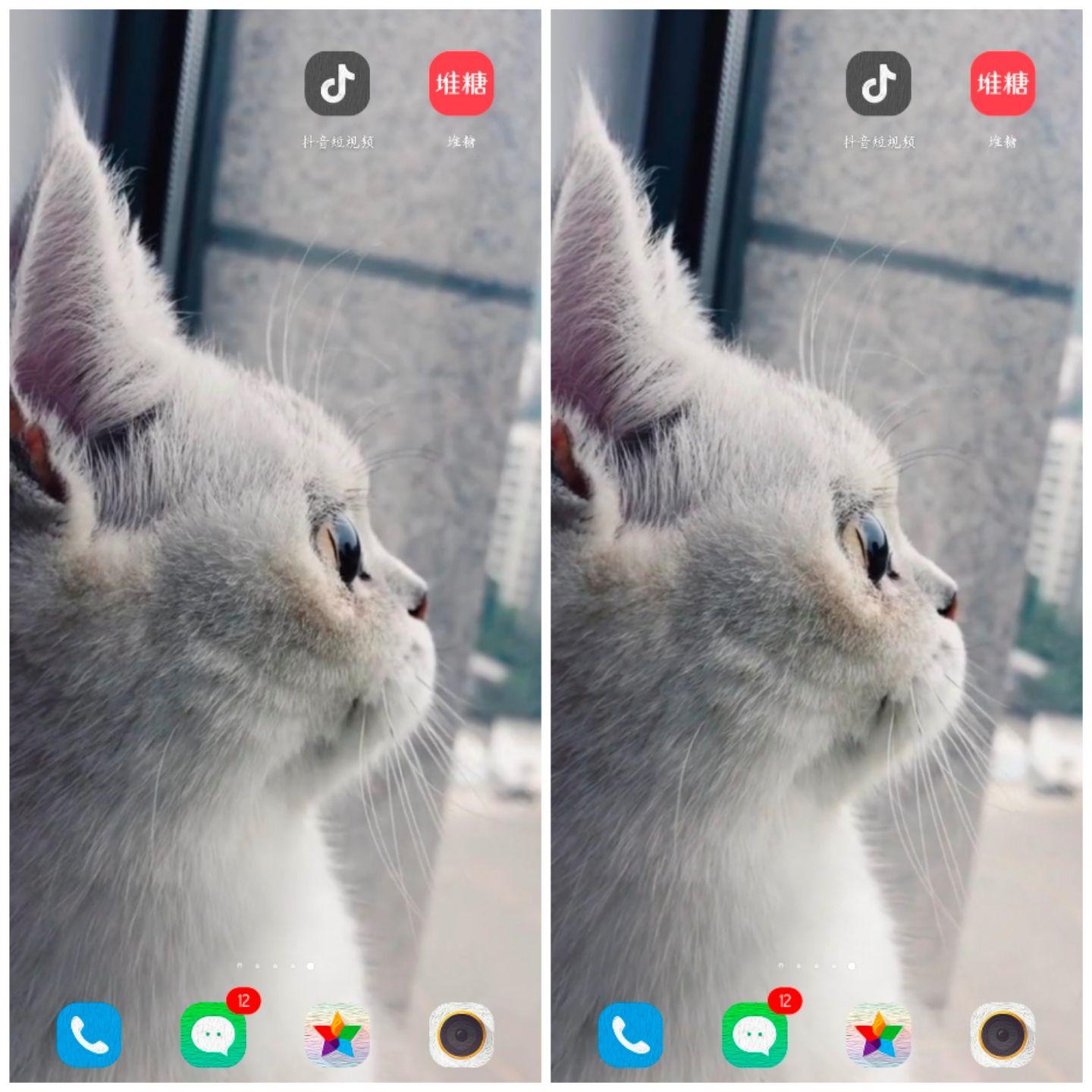 有哪些好看的动态壁纸？ - 知乎