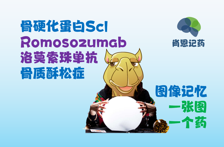 记住骨硬化蛋白Scl拮抗剂 | Romosozumab 洛莫索珠单抗 | 治疗绝经后妇女骨质疏松症 - 知乎