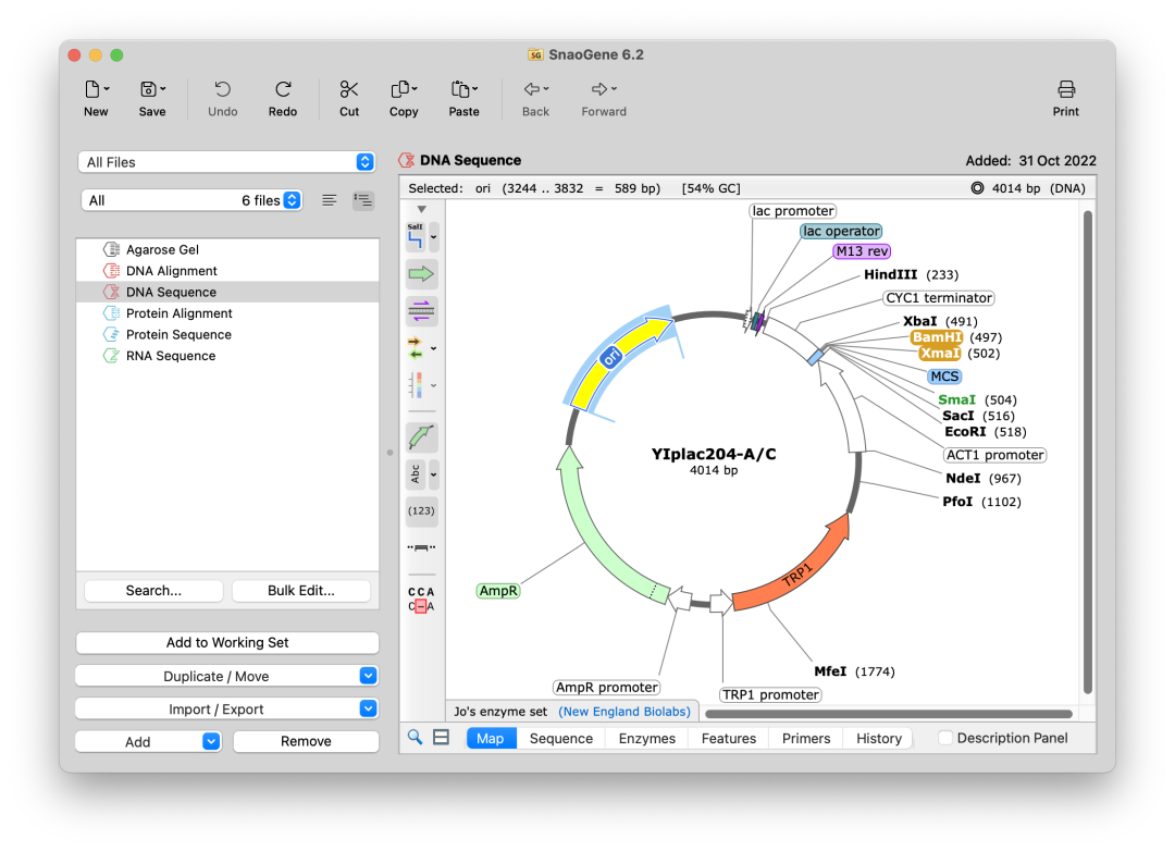 SnapGene V6.2更新啦！ - 知乎