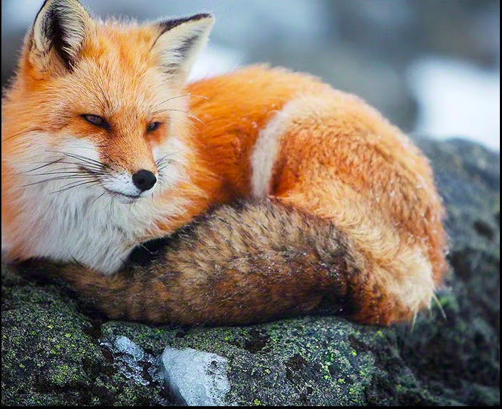 电视索尼x91k和x85k哪个好，对比见区别 - 知乎