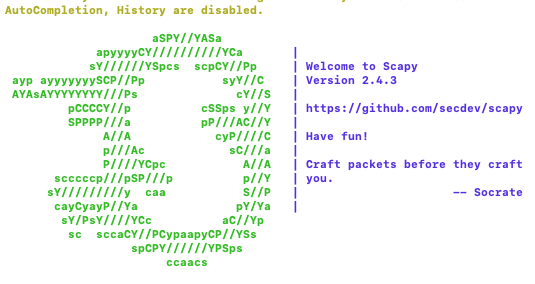 Scapy用法总结 - 知乎