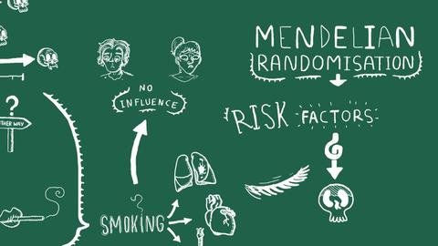 什么是水平基因多效性（Horizontal Pleiotropy）和垂直基因多效性（Vertical Pleiotropy）？ - 知乎