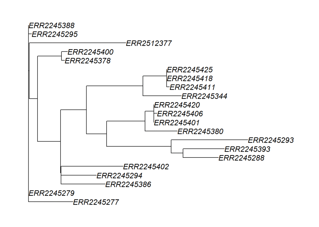 R包神器 | 系统发育和进化分析 - ape (一) - 知乎