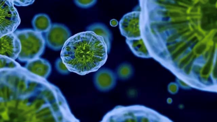 Nat Methods | 基于空间组学探讨细胞通讯：CellNEST揭示细胞间中继网络 - 知乎