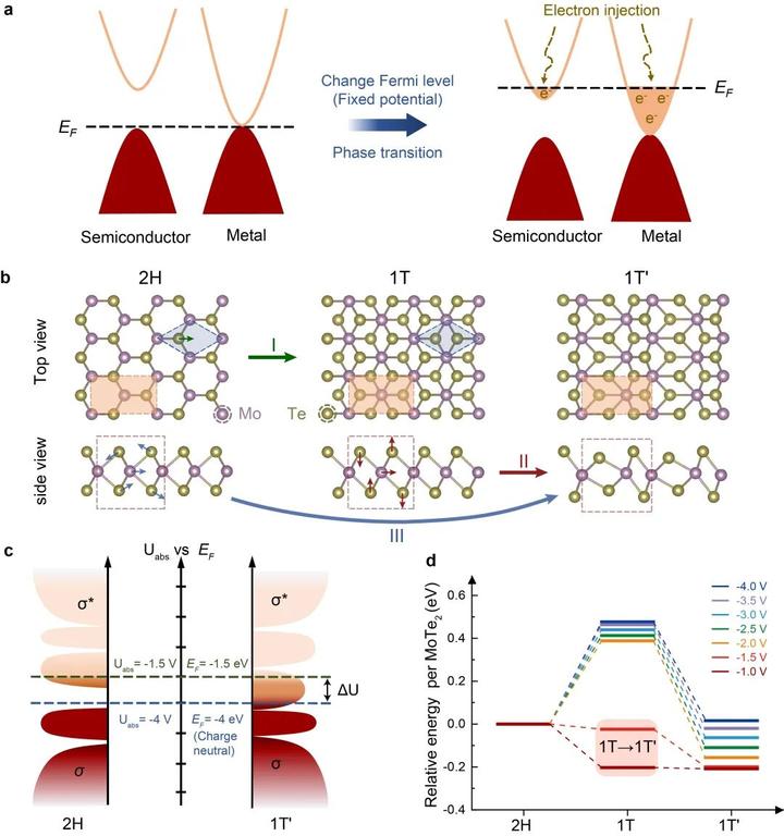 用PWmat发Advanced Functional Materials：电势驱动2D过渡金属二硫化物的半导体-金属相变 - 知乎