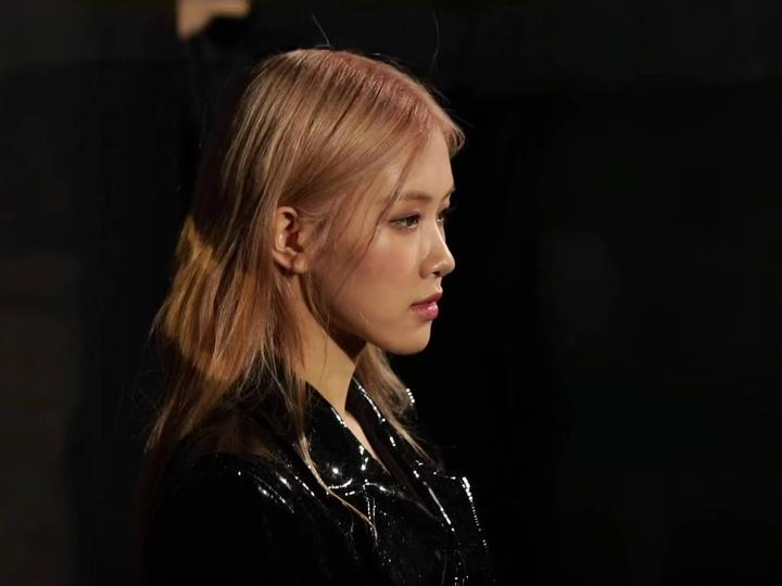 Rosé (歌手) / Rosé (singer) （第一部分：概述、生活和生涯、艺术造诣）- 中英文维基百科词条融合，由辽观搬运、翻译、整合 ...