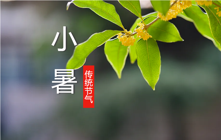 用英语讲中国传统节气 | 小暑 Minor Heat - 知乎