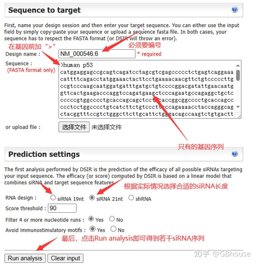 一文搞定siRNA从原理，引物涉及到细胞转染 - 知乎