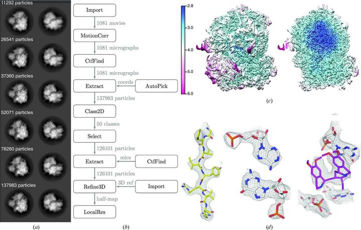 References for Cryo-EM 3D Reconstruction（三维重构资料推荐） - 知乎