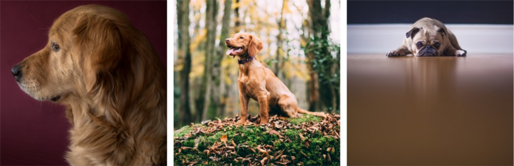 InceptionNet 从v1到v4的演变 - 知乎