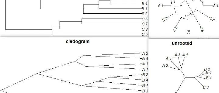 基于R语言的微生物群落组成多样性分析——聚类分析 - 知乎